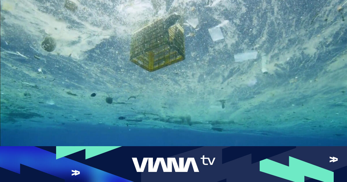 O documentário “Um Oceano de Plástico” alerta jovens para a poluição ...