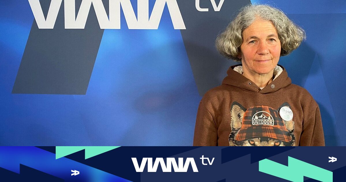 Legislativas 2025: Isabel Rhodes é a cabeça de lista do PAN por Viana ...