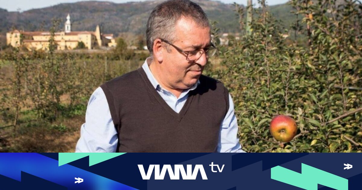 IPVC lidera projeto nacional para preservar maçãs do Minho | Viana TV